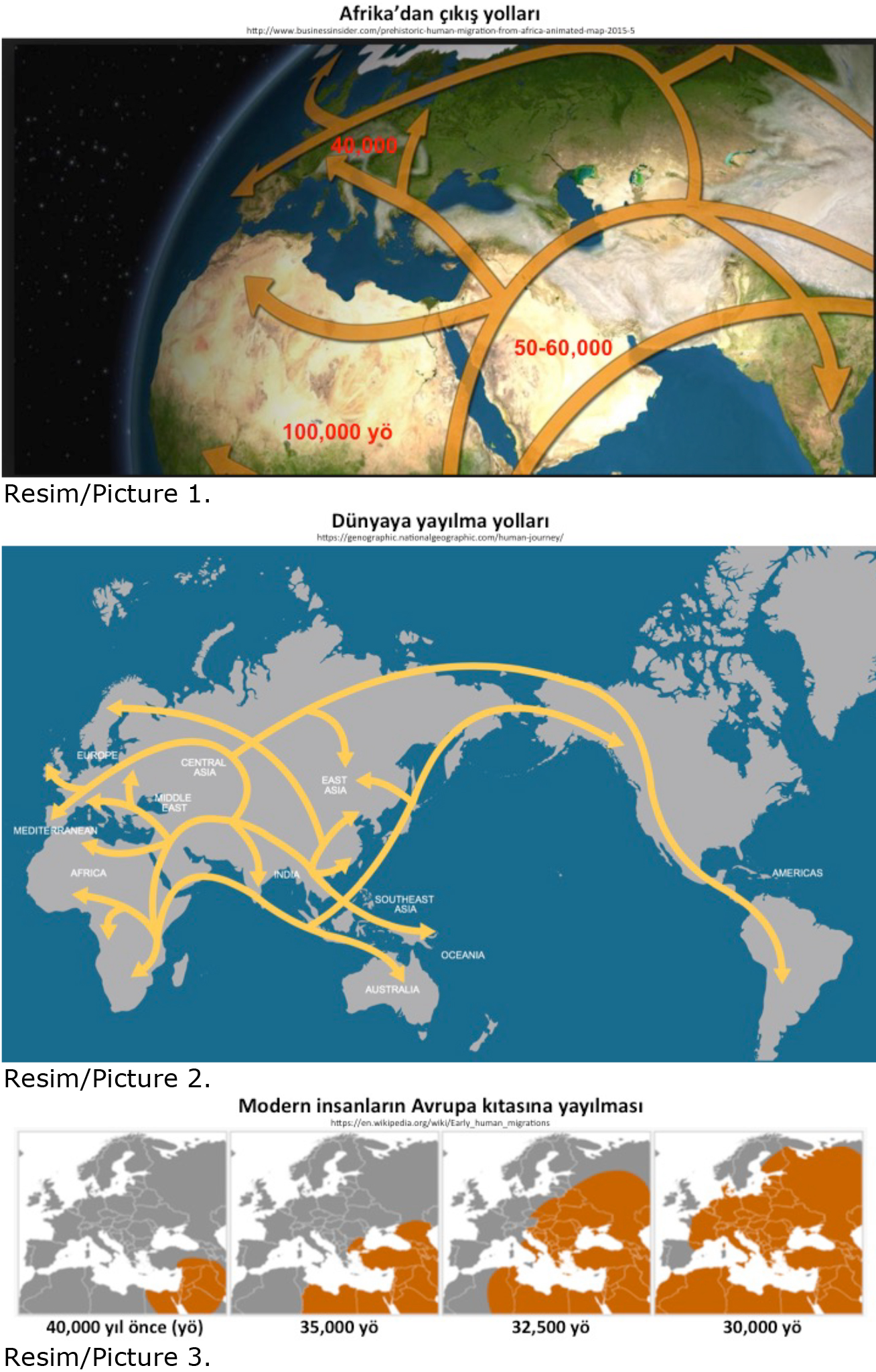 EN / Bilkent University – Genomic landscape of the Mediterranean basin ...