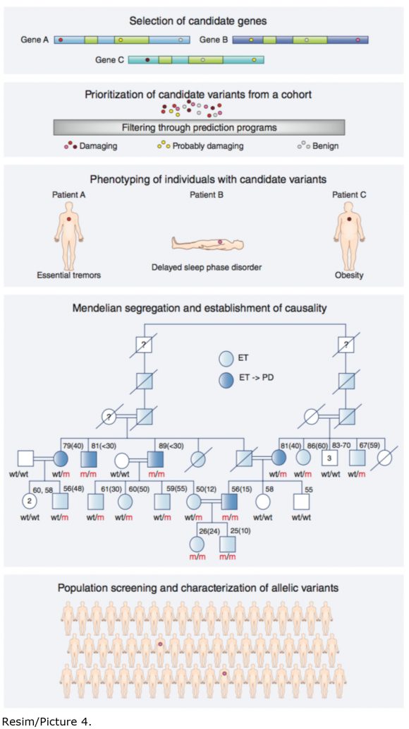 EN / Bilkent University – Genomic landscape of the Mediterranean basin ...